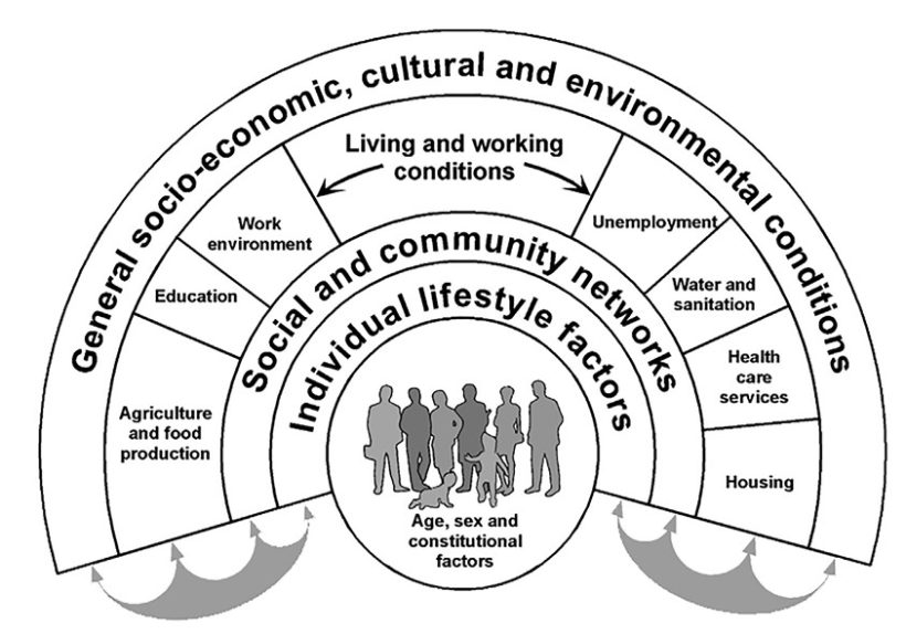 Determinanti della salute - Performance Sanitaria